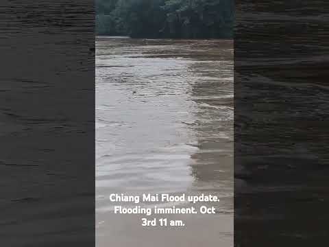 Ping River rising in Chiang Mai. Flood update. #chiangmaithailand # ...