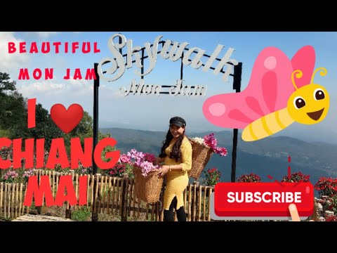 Mon jam Royal project in Chiang Mai || Skywalk 360 view point || Garden ...
